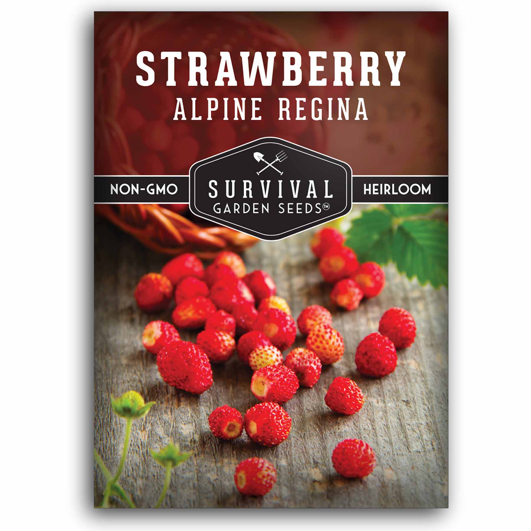 Alpine Regina Strawberry Seeds - Wild Strawberry - SurvivalGardenSeeds
