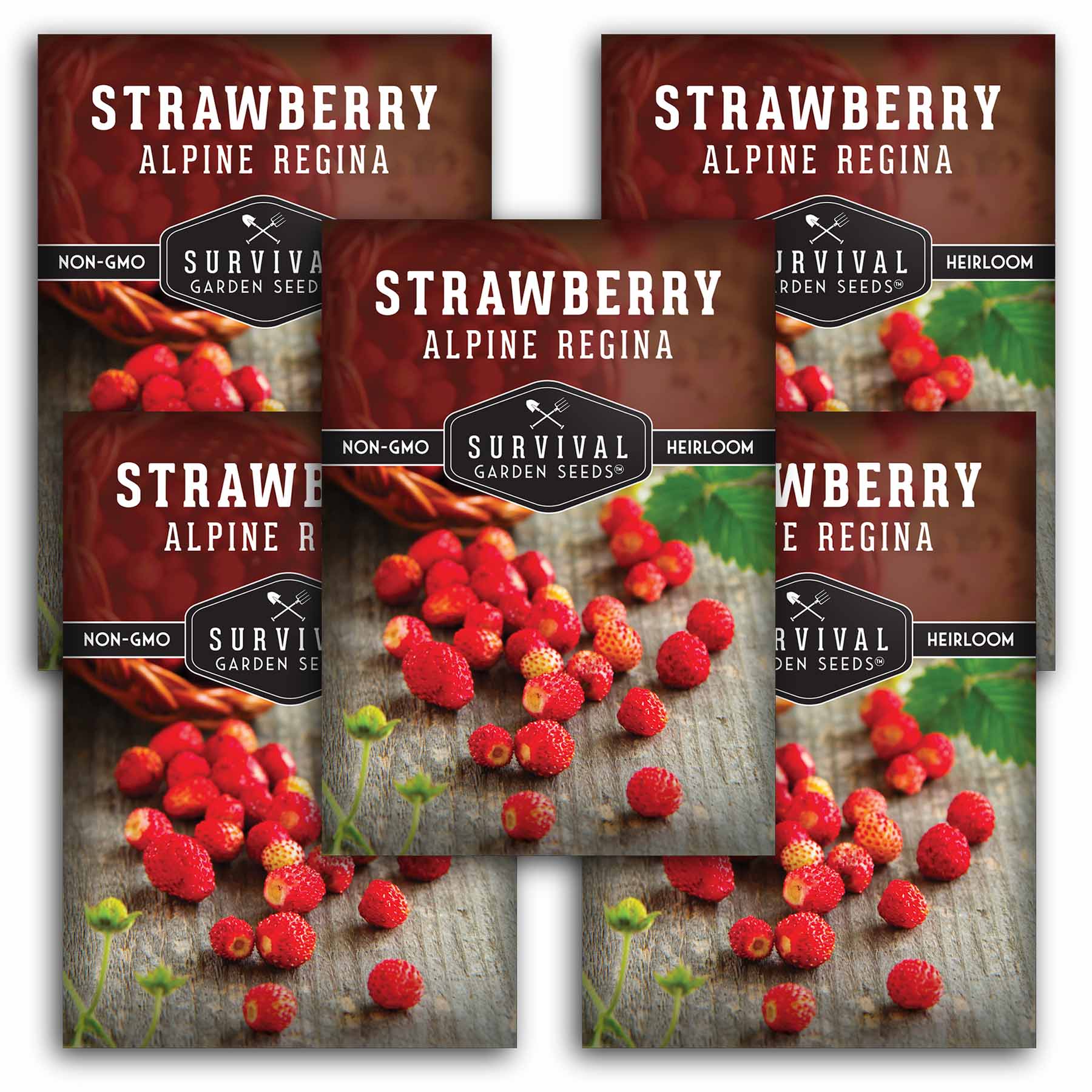 Alpine Regina Strawberry Seeds - Wild Strawberry - SurvivalGardenSeeds