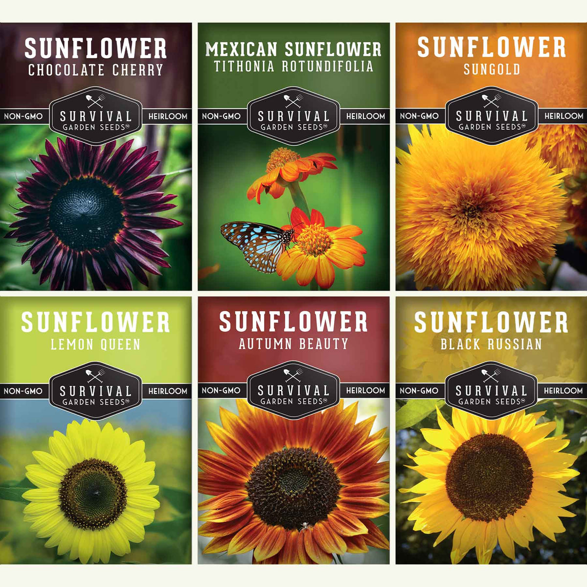 Six Sunflower Collection – SurvivalGardenSeeds