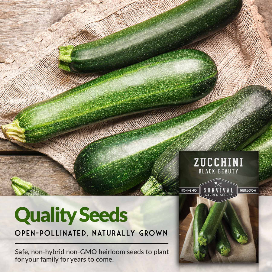 Zucchini Seeds – SurvivalGardenSeeds