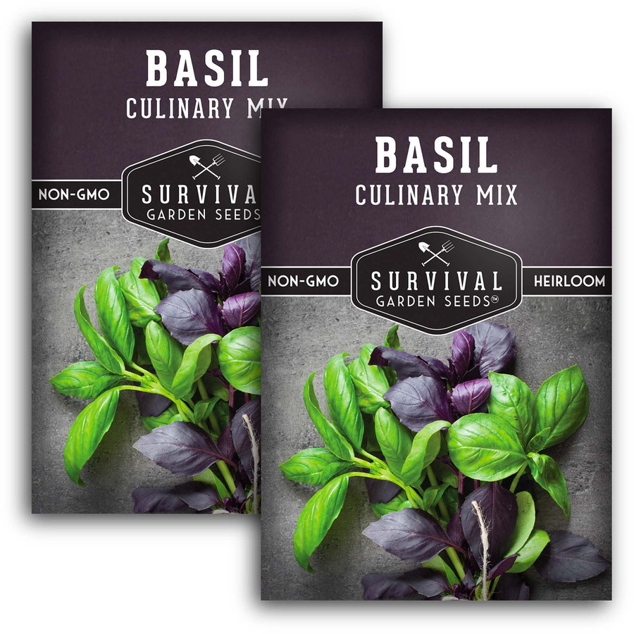 Basil Seeds – SurvivalGardenSeeds