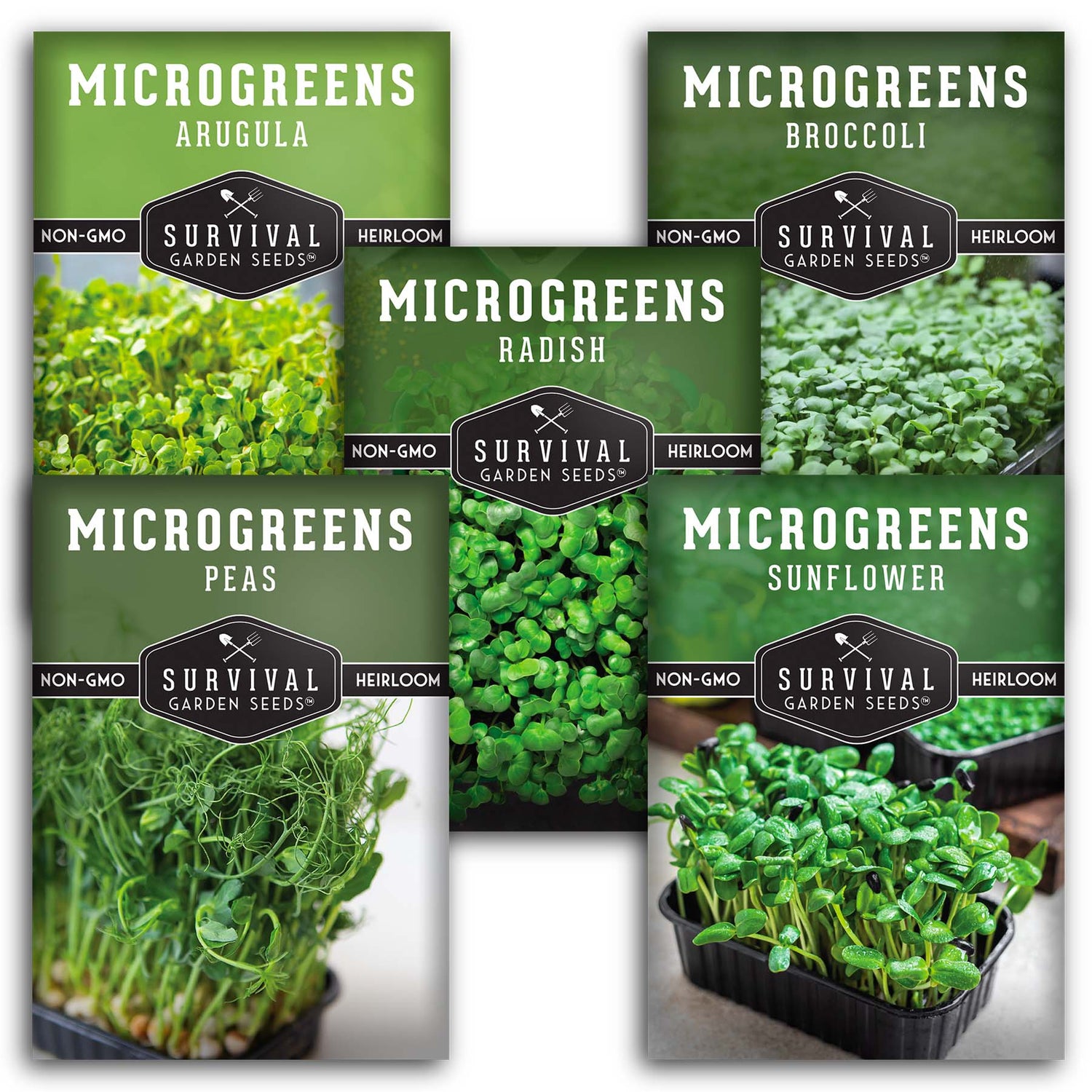Heirloom Microgreen Seeds 5 Variety Pack – SurvivalGardenSeeds