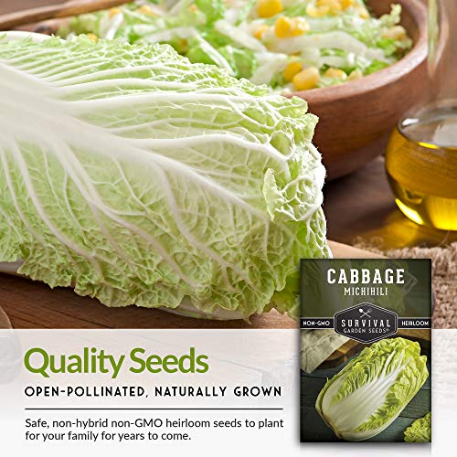 Cool Review About Napa Cabbage Seed