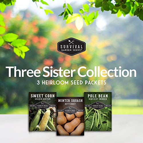Three Sisters Vegetable Seed Collection – SurvivalGardenSeeds