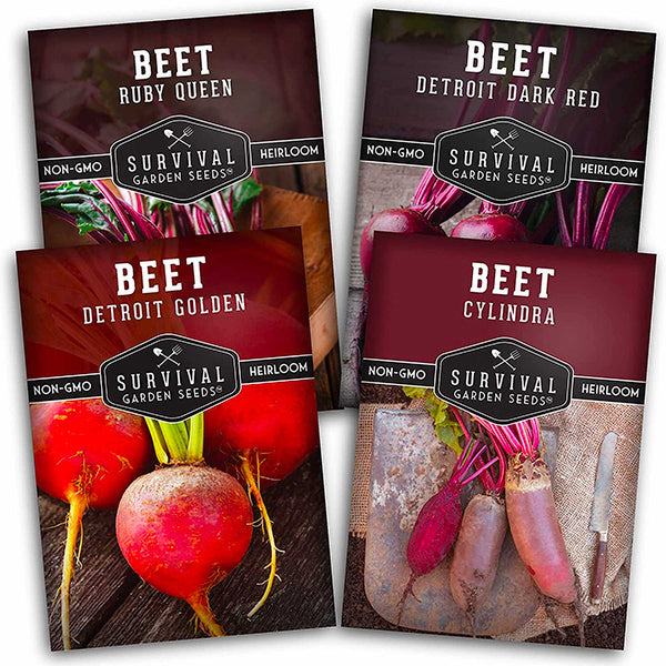 Beet Seeds - SurvivalGardenSeeds
