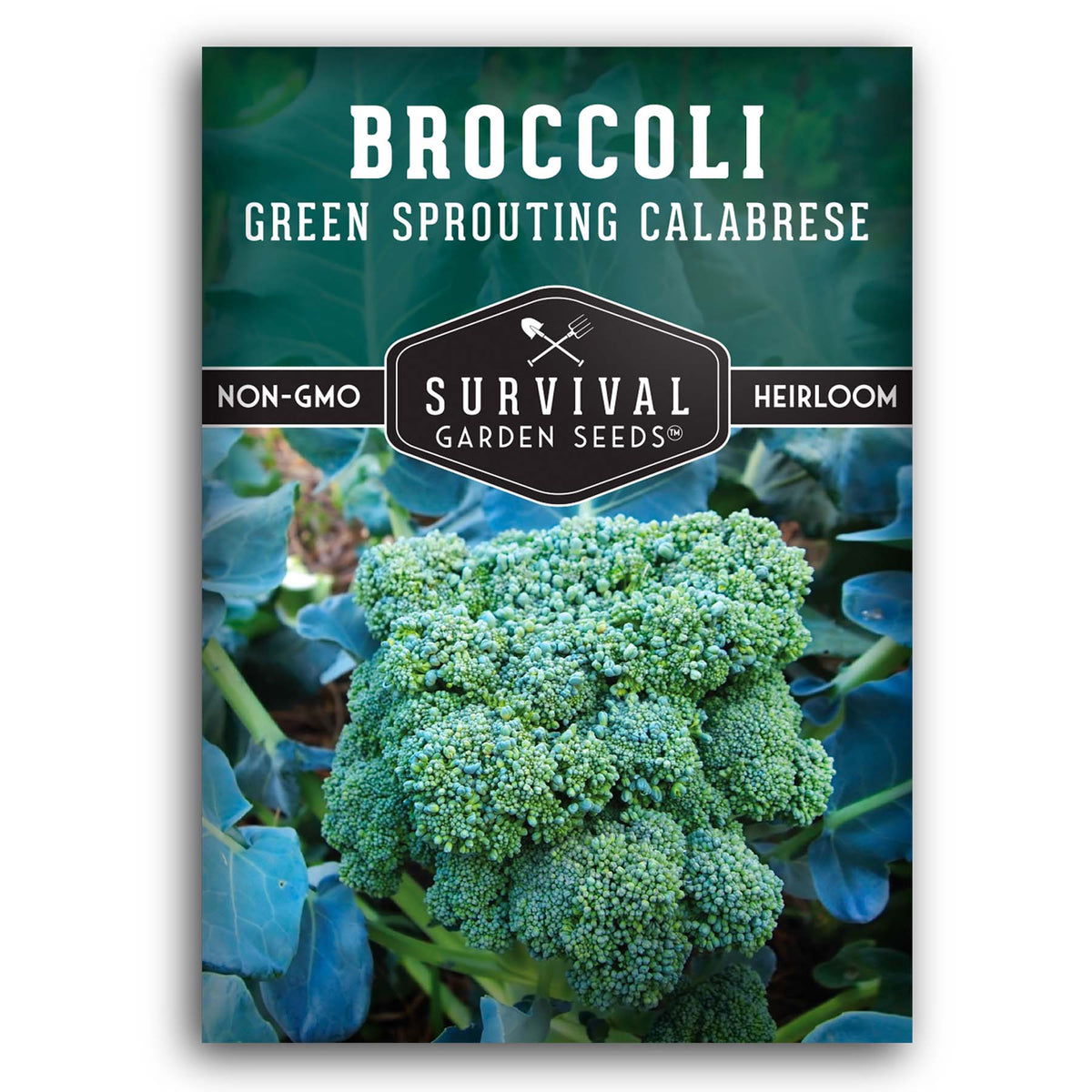 Green Sprouting Calabrese Broccoli Seeds - Overstock – SurvivalGardenSeeds