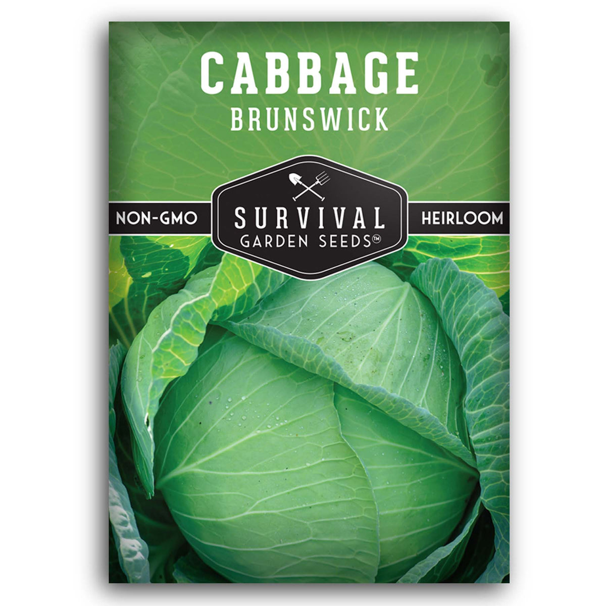 Cabbage Seeds – SurvivalGardenSeeds