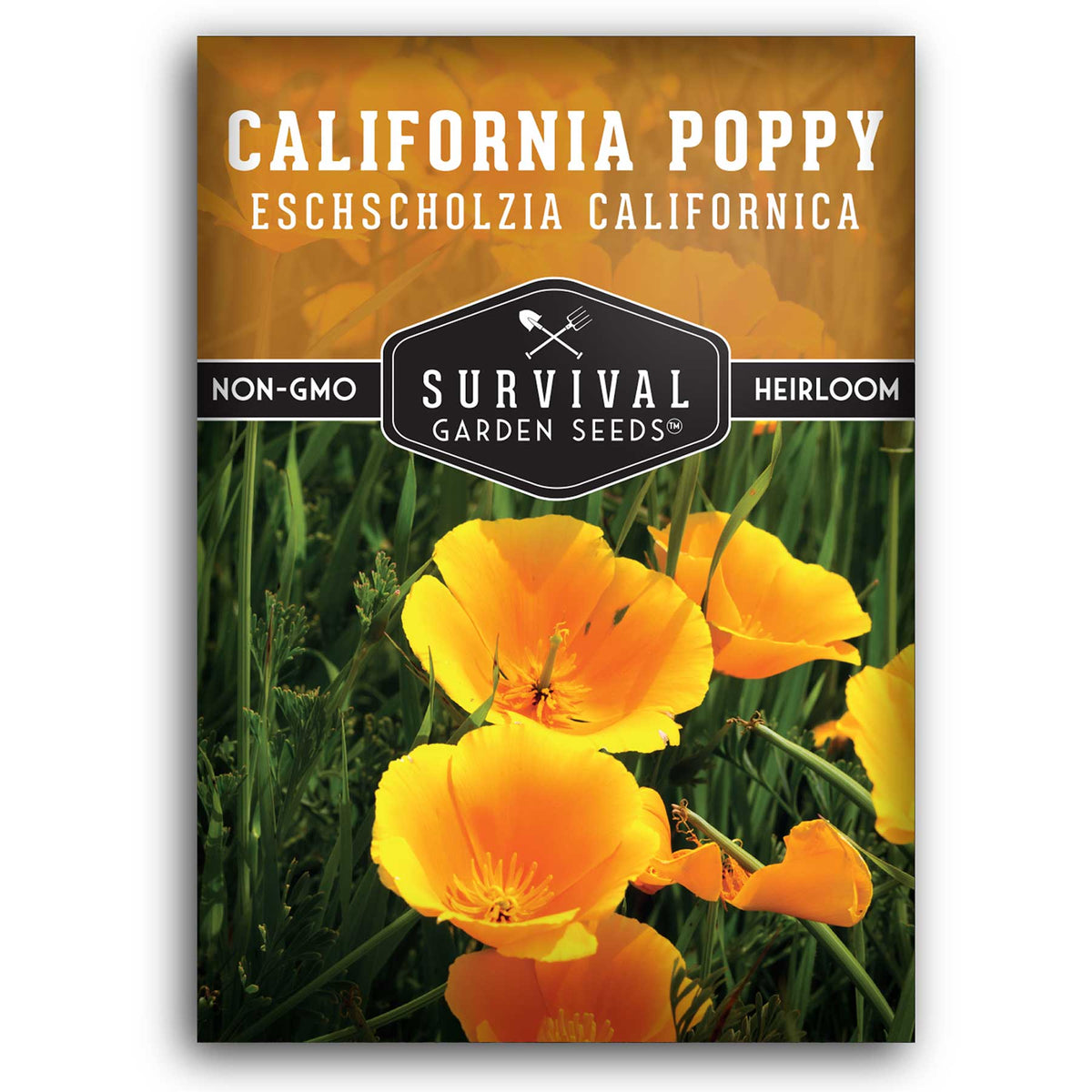 California Poppy Seed for Planting – SurvivalGardenSeeds