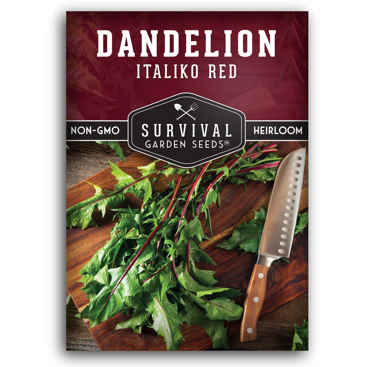 Italiko Red Dandelion – Chicory Seeds – SurvivalGardenSeeds