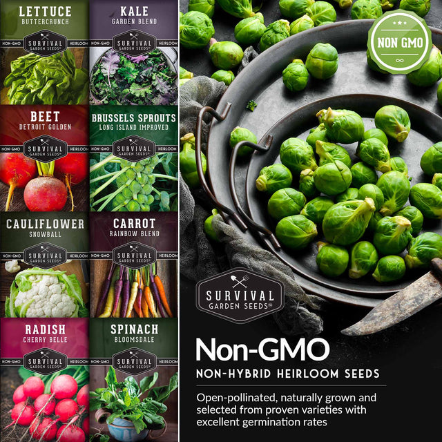 Fall Garden Seed Collection - 8 Favorites – SurvivalGardenSeeds