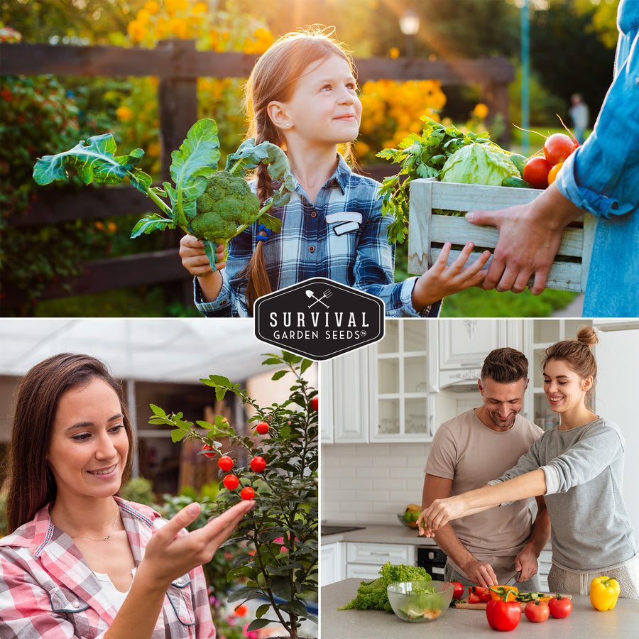 Farmers Seed Collection - 100 Seed Packets – SurvivalGardenSeeds