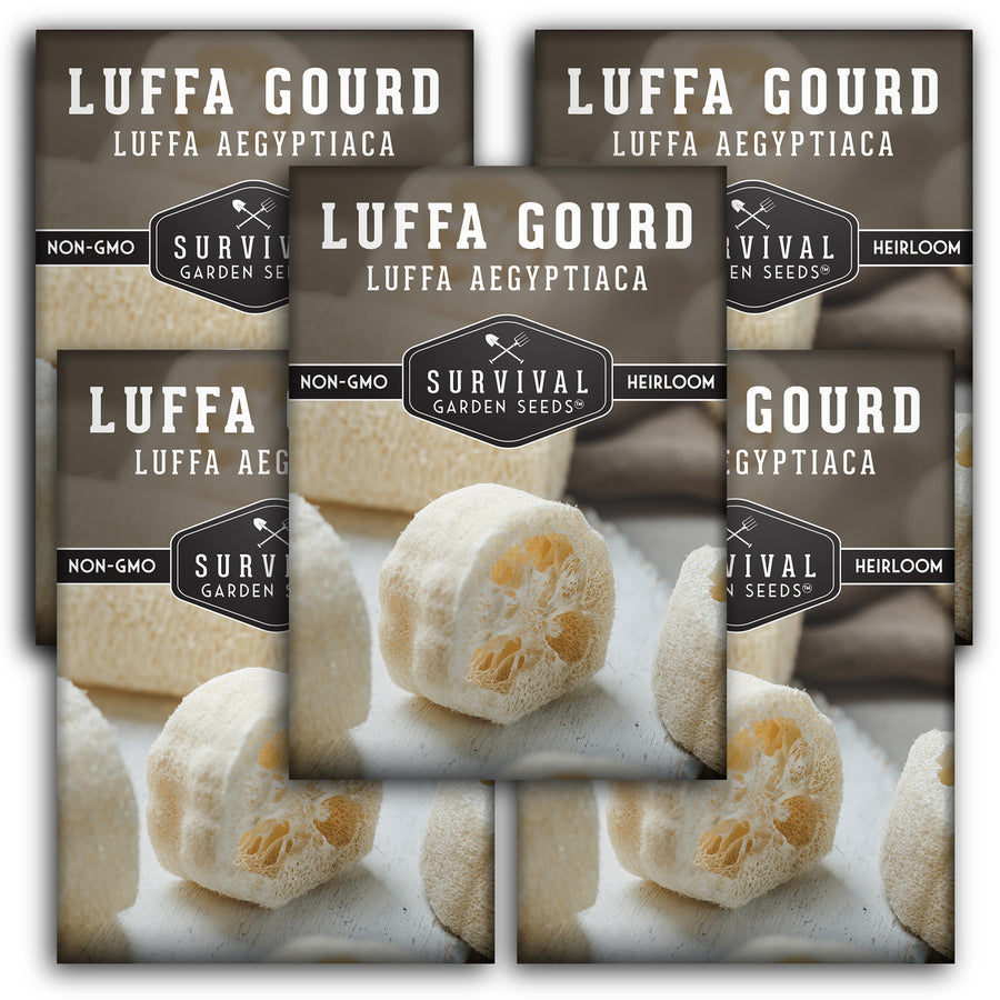 Luffa Gourd Seeds – Grow Natural Loofah Sponges – SurvivalGardenSeeds