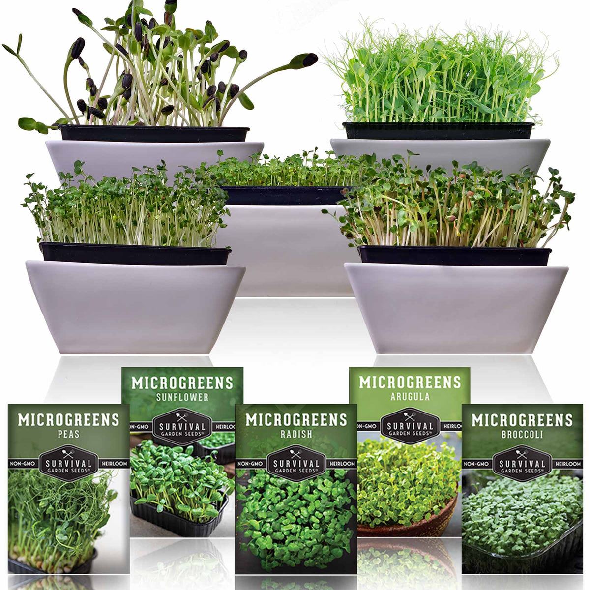 Heirloom Microgreen Seeds 5 Variety Pack – SurvivalGardenSeeds
