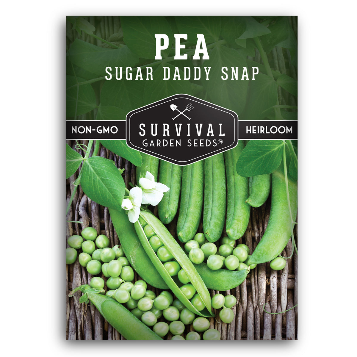 Sugar Daddy Snap Pea – Stringless Pods – SurvivalGardenSeeds