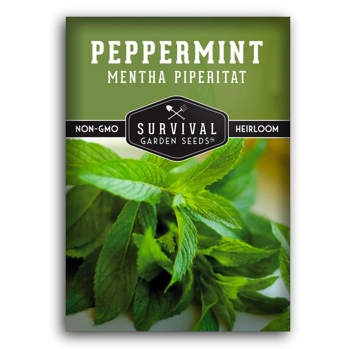 Peppermint Seeds – Fragrant Tea & Culinary Herb – SurvivalGardenSeeds