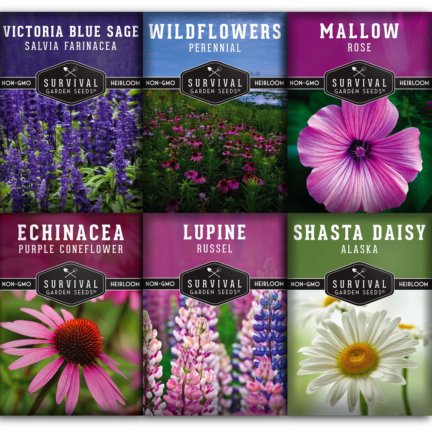 6 Pack Perennial Flowers Seed Collection – SurvivalGardenSeeds