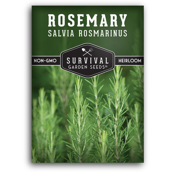 Rosemary Seeds - SurvivalGardenSeeds