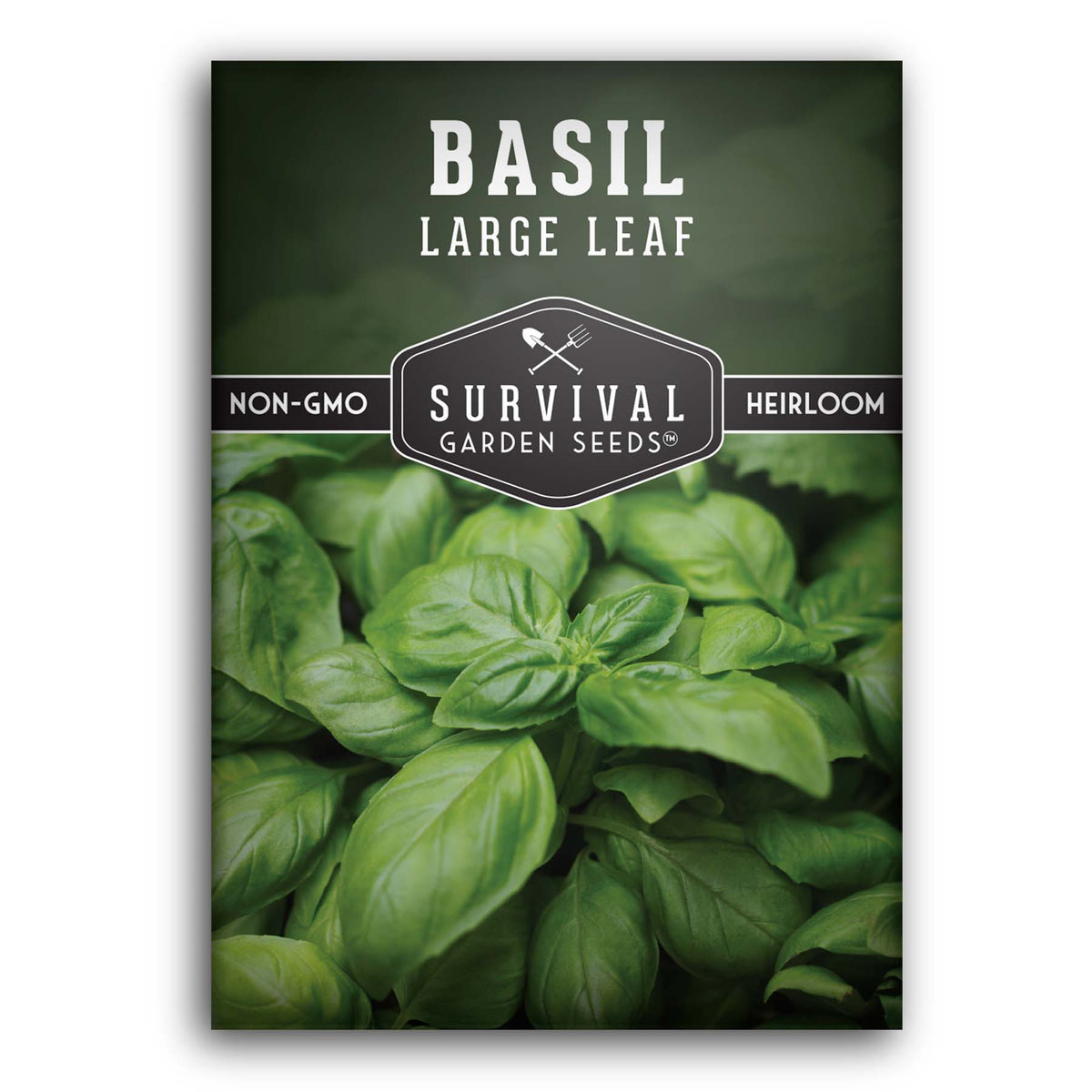Large Leaf Basil Seed – SurvivalGardenSeeds