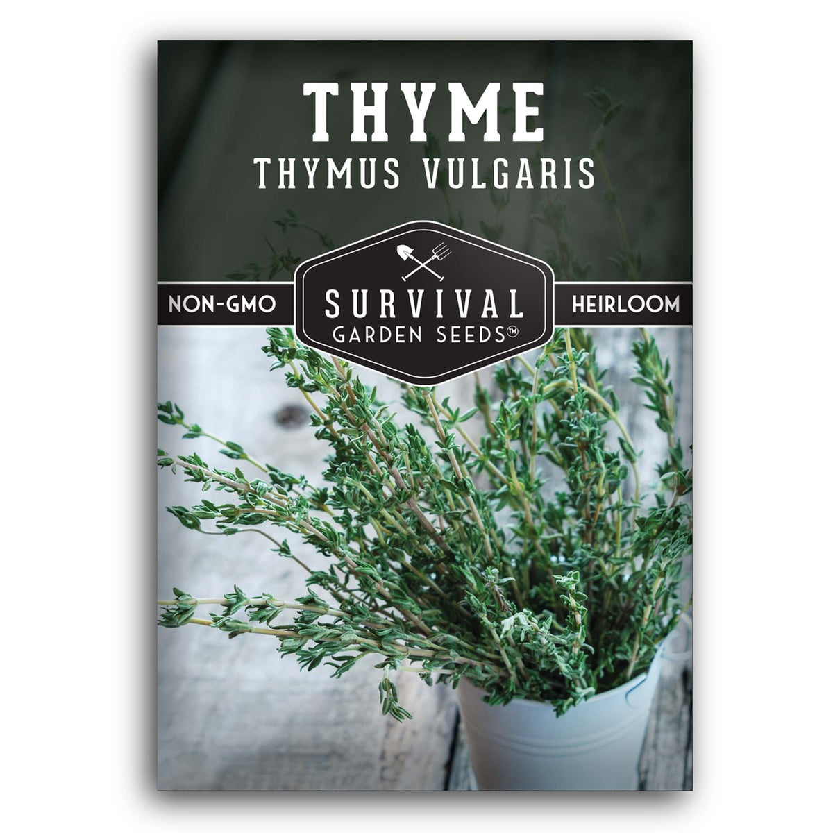 Seed Collection - Thyme Seeds – SurvivalGardenSeeds